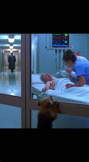 "THE PUPPY WHO WOULDN'T LEAVE CHAPTER 1 ""Get that thing out of here before I call Animal Control."" The security guard’s voice was a rough bark, cutting through the freezing rain that lashed against the glass doors of Fairview General Hospital. Claire Anderson didn’t move. She stood just outside the sliding doors, her scrubs soaked through in seconds, her gaze locked on the small, trembling bundle huddled against the brick column. It wasn’t just a dog. It was a skeleton draped in matted fur, a 
