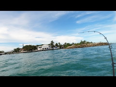 Back To Fishing - Prospecting Duck Key