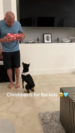 Christmas Gifts for Pets: Celebrating Joy with Furry Friends