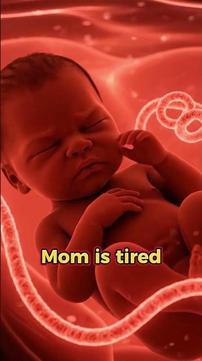 How a Baby Reacts When Mom Is Hungry vs Nourished | Womb Simulation