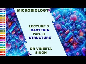 Inside Bacteria: A Detailed Overview of Bacterial Structure