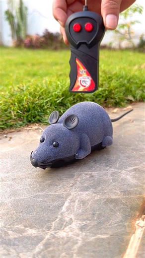 Remote Control Rc Mouse 🐁 unboxing and testing