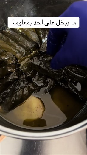 Modi’s kitchen على TikTok