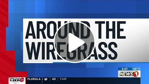 Make-A-Wish Alabama races to meet license plate deadline for sick children - NewsBreak