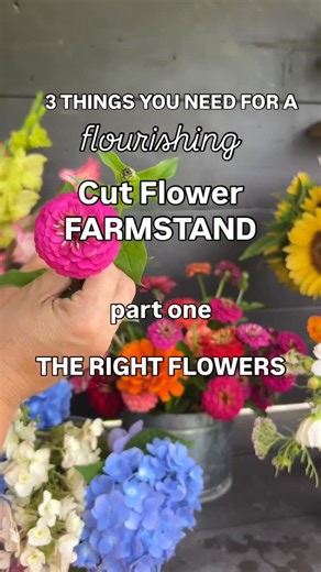 Meagan | Inspiration for Flower Farmers & Farmstand Owners on Instagram: "Getting YOU ready to launch your own cut flower farmstand part 1/3 💐Comment GROW to grab TFA’s Cut Flower Grow Guide before you start planning your spring flower field!💐 Don’t you dare go get zinnia seeds from Lowe’s and call yourself a flower farmer. And on the same note, don’t think you need to track down super unique and obscure seeds and varieties to set yourself apart as a “professional” grower. Reliable, profession