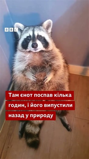 5 декабря 2025 г.