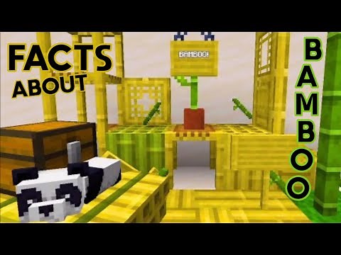 Bamboo! 2 minute complete guide (Minecraft 1.20)