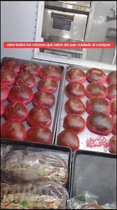 1.1M views · 4.2K reactions | Mira con tus propios ojos | Chefs Millonario | Facebook