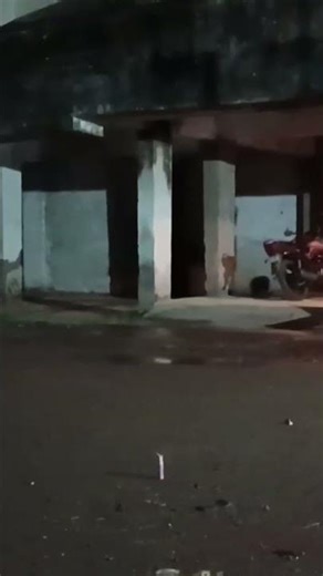 Lakshmi Cracker Experiment #27 1M Views#Shorts