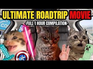 CAT MEMES: THE ULTIMATE COMIC CON ROADTRIP FULL 1 HOUR COMPILATION
