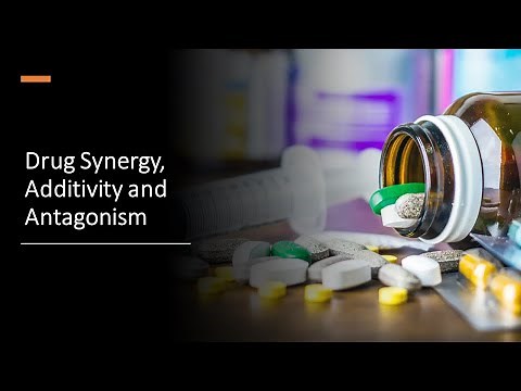 Synergy, Additivity and Antagonism