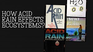 How Acid Rain Effects Ecosystems?