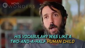 252K views · 249 reactions | Can we crack the code of animal communication? Don't miss "NOVA Wonders: What Are Animals Saying?" premiering April 25 at 9/8c on @NOVA l PBS's Facebook page! | NOVA l PBS | Facebook