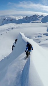 Remind Insoles on Reels