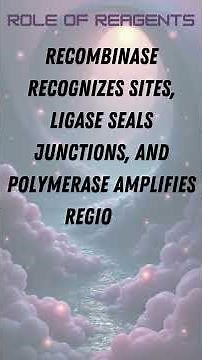Site Specific Recombinase Assay
