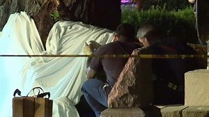 2 killed after tree branch falls during fireworks show in Illinois