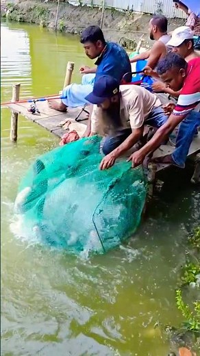 Catching Fish from Waterfall Pool with Rod #Shorts
