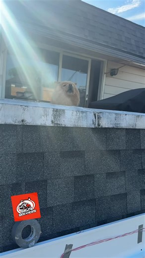 Quicksign Services: Quality Printing and Signs