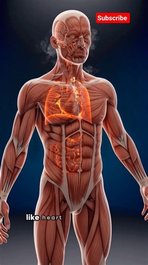 smoking inhaler side effects😱😱 #humanbody #cigarette #3danimation #medicalschool #aieducation