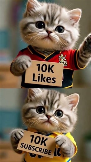 Cute Cricket Cats in RCB & CSK Jerseys | 10 Likes & 10K Subscribers 🏏🐾 #CuteCats #10KSubscribers