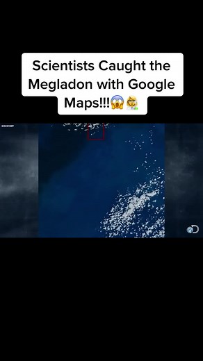 Megladon Caught on Google Maps? Scientist's Discovery!