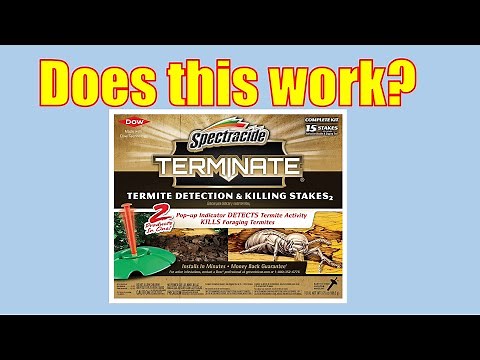 Do Spectracide Termite Stakes Really Work? Learn the TRUTH.
