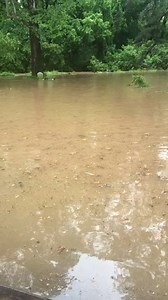 1.4K views |  SEE IT IN ACTION: HOW DAM EASY STOPS FLOODING!  Ever wondered how our flood barriers work? Watch this quick timelapse of a full setup & water test!  ⏳ Installs in minutes—no tools required!  Strong, watertight, and reusable  Withstands heavy storms and flash floods  Want to see Dam Easy in action at your home? Contact us today!  #FloodProtection #TimelapseTest | Dam Easy Flood Barriers | Facebook