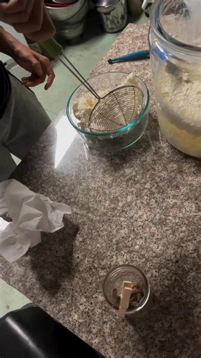 L A B! - also known as Lactobacillusinterrupting our normal scheduled fruit content to bring you some LAB (lactic acid bacteria) footage! t | Alisha