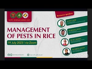 Management of Pests in Rice