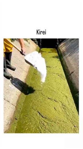 buzz__decode on Instagram: "The post shares a 29-second video of a foaming powder cleaner dramatically removing algae from outdoor drains, moss from pavers, hair clogs from sinks, and stains from toilets, with water turning murky brown as grime dissolves. Posted by beauty enthusiast @Utsukushii199 , the clip contrasts the account's usual aesthetic focus, yet taps into viral "satisfying clean" trends, amassing 862,000 views and 1,293 likes within 24 hours. Replies reveal the powder as likely "Cit