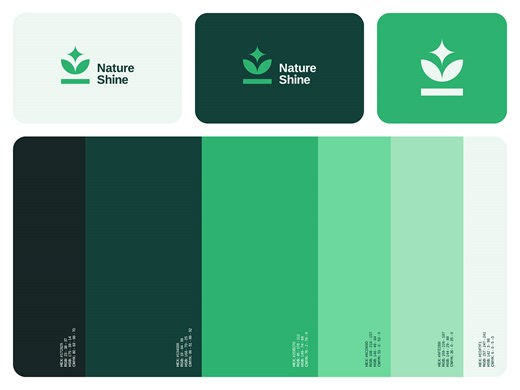 Nature-Shine-Logo-Branding