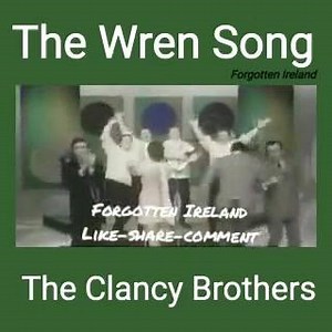 9.3K views · 120 reactions | The wren, the wren, the king of all...