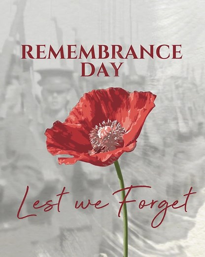 43 reactions | On November 11 we will not forget. | Helena Konanz-MP | Facebook