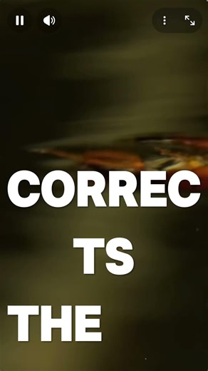 The fish that shoots its prey.