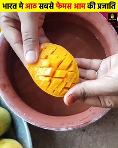 44K views · 331 reactions | 省 India is the land of mangoes – the true...
