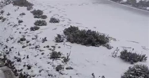 Snow settles on Mallorca’s mountains as temperatures stay low, more snow forecast for Christmas Eve