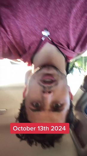 Understanding the Great Collapse of 2029: What to Expect on October 13