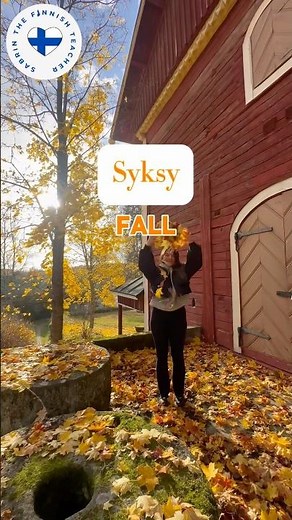 Free Finnish vocabulary lesson🇫🇮 #finnishlesson