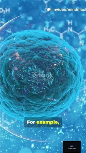 ✅ Video 3 – “The Power of Visual Memory Mapping 🧠💡”