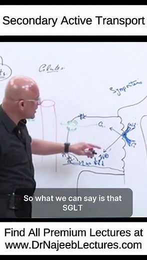 Secondary Active Transport #shortvideo #shorts #drnajeeb #drnajeeblectures