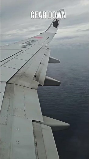 Boeing 737-800 SFP lands through low clouds | Smooth flap deployment on short final