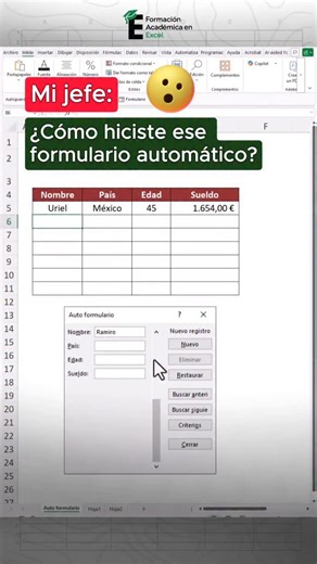 FAE Formación Académica Excel on Instagram: "Con un clic Excel te arma este formulario automático: toma tus encabezados, crea los campos y te deja agregar registros sin escribir en la hoja. 📊 #excel #exceltutorial"