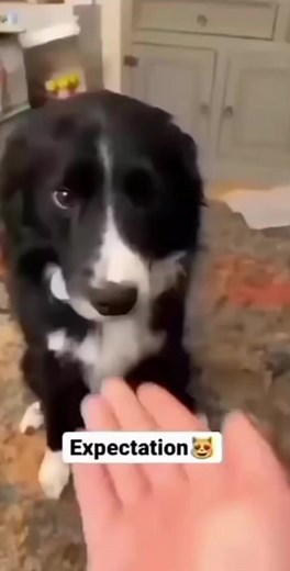 Expectation bs Reality | Melvin Sabanal Hermino