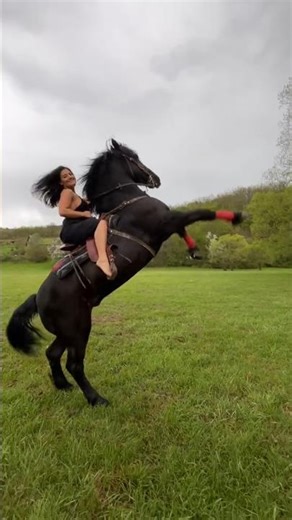 Balck Horse beautiful riding