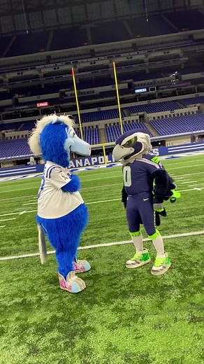 @Colts Mascot Has been talking some SMACK! #NFLkickoff | colts mascot