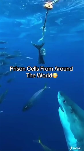 Inside Look: Prison Cells Around the World