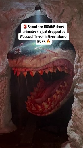 Allison Reynolds | NC Lifestyle + Travel on Instagram: "😱JAWS !!! The insane shark animatronic @thewoodsofterror is next-level! 🦈💥 Bursting out of the wall with blood and water dripping everywhere…it’s absolutely wild!!! I got a sneak peek, and let me tell you, they’ve really leveled up with all of the new scary attractions this year…and I can’t wait for you all to see it! 👻🔥 #woodsofterror #greensboro #northcarolina #animatronics #jaws #hauntedhouse"