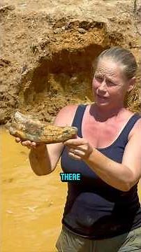 Most Inland an ancient fossil Walrus Tusk been found in South Carolina!!‪@palmettofossilexcursions‬