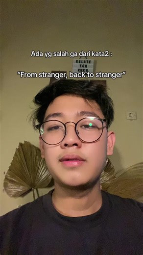 Stranger Connections: Understanding Human Interactions