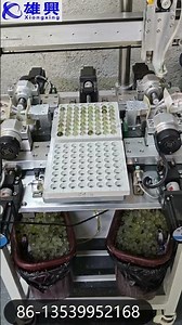 Dual-station CNC Jade Bead Drilling Machine | High-precision Automatic Focusing